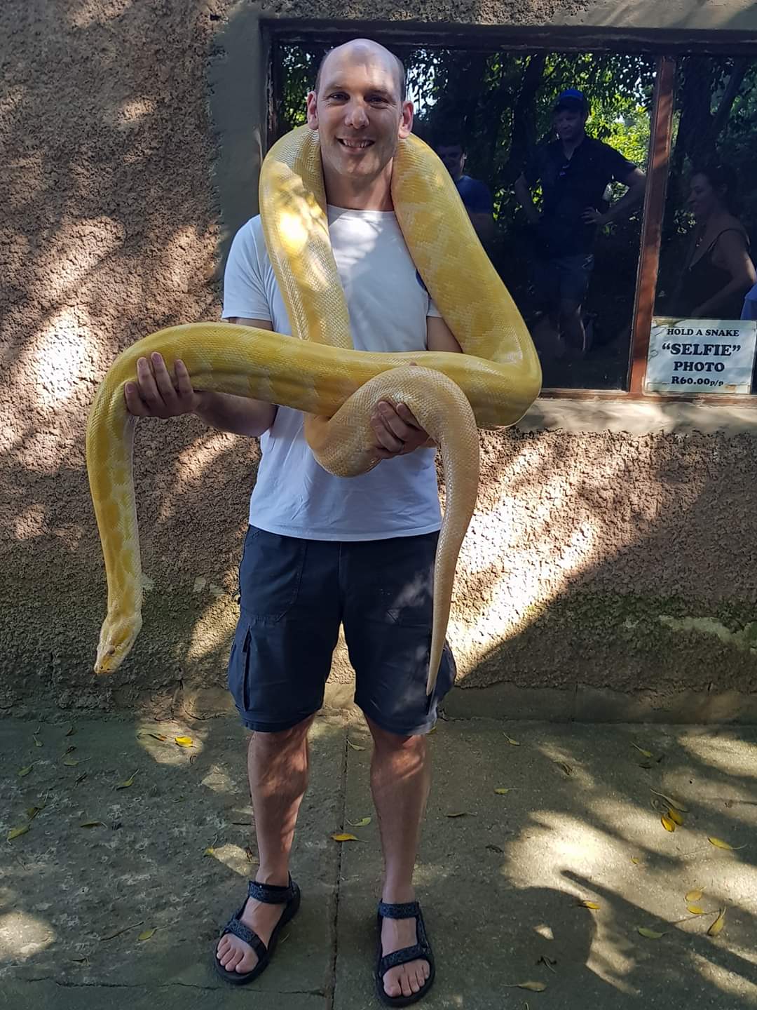 Pure Venom Snake and Reptile Park » Local First » Hibiscus coast ...